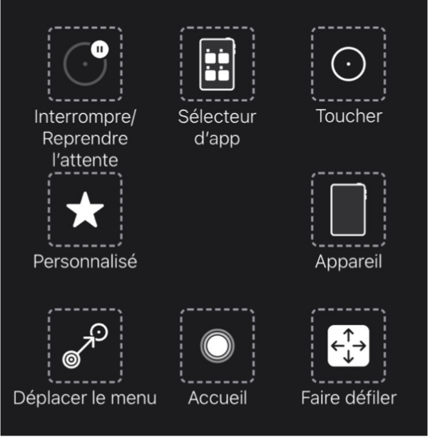 TD Pilot - Techlab APF France handicap
