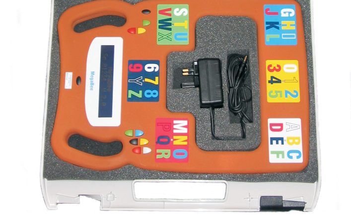 MegaBee - Techlab APF France handicap