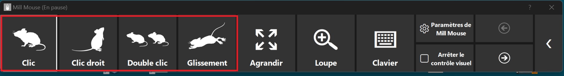 Mill Mouse - Techlab APF France handicap